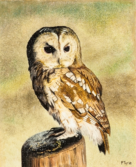 Peter Tyrie | 2 Artworks | MutualArt