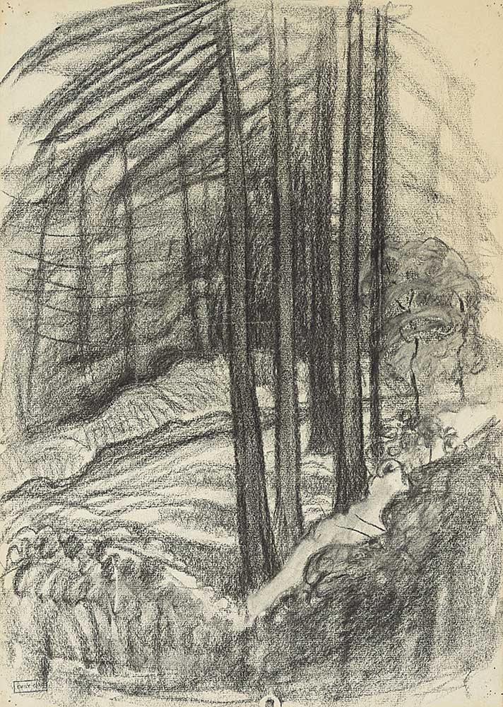 Emily Carr | Inside a Forest (1929) | MutualArt
