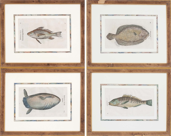 Italian School, 16th Century | set of four framed fish prints | MutualArt