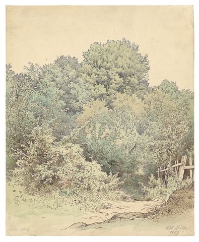Carl Wilhelm Müller | 1 Artworks for Sale