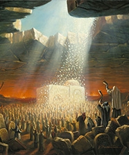 Yossi Rosenstein: Rachel's... | Exhibitions | MutualArt