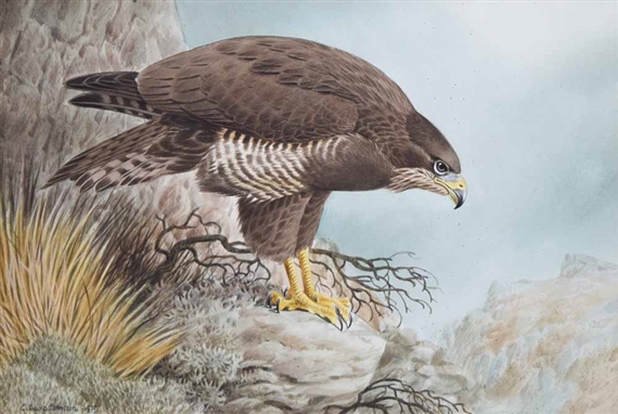 Cyril David Johnston | 34 Artworks at Auction | MutualArt