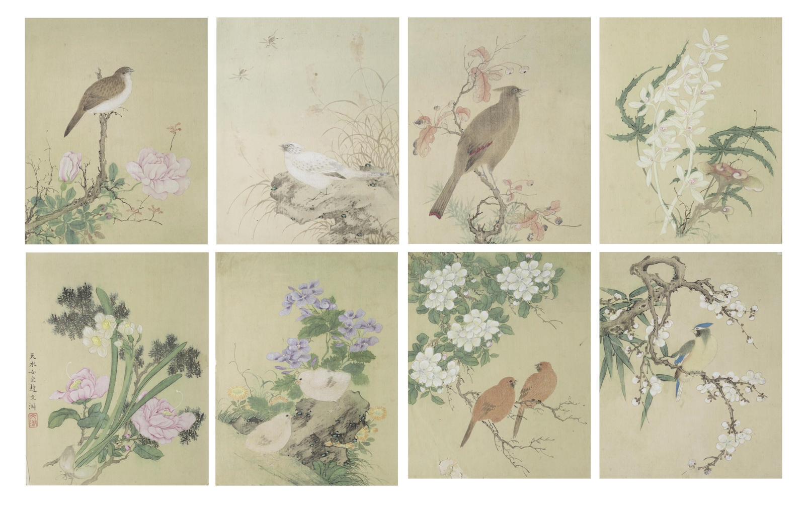 Wen Shu | Flowers and Birds | MutualArt