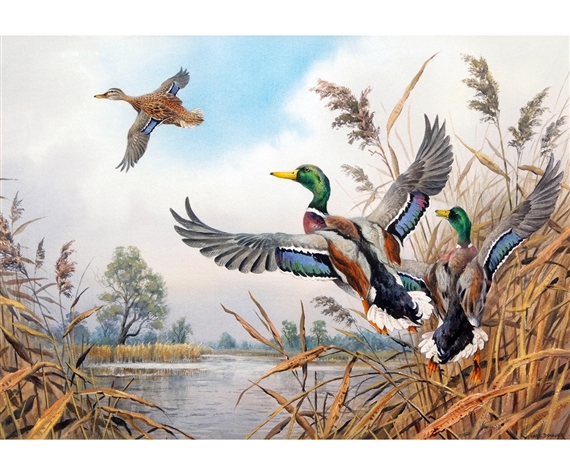 Carl Donner | 54 Artworks | MutualArt