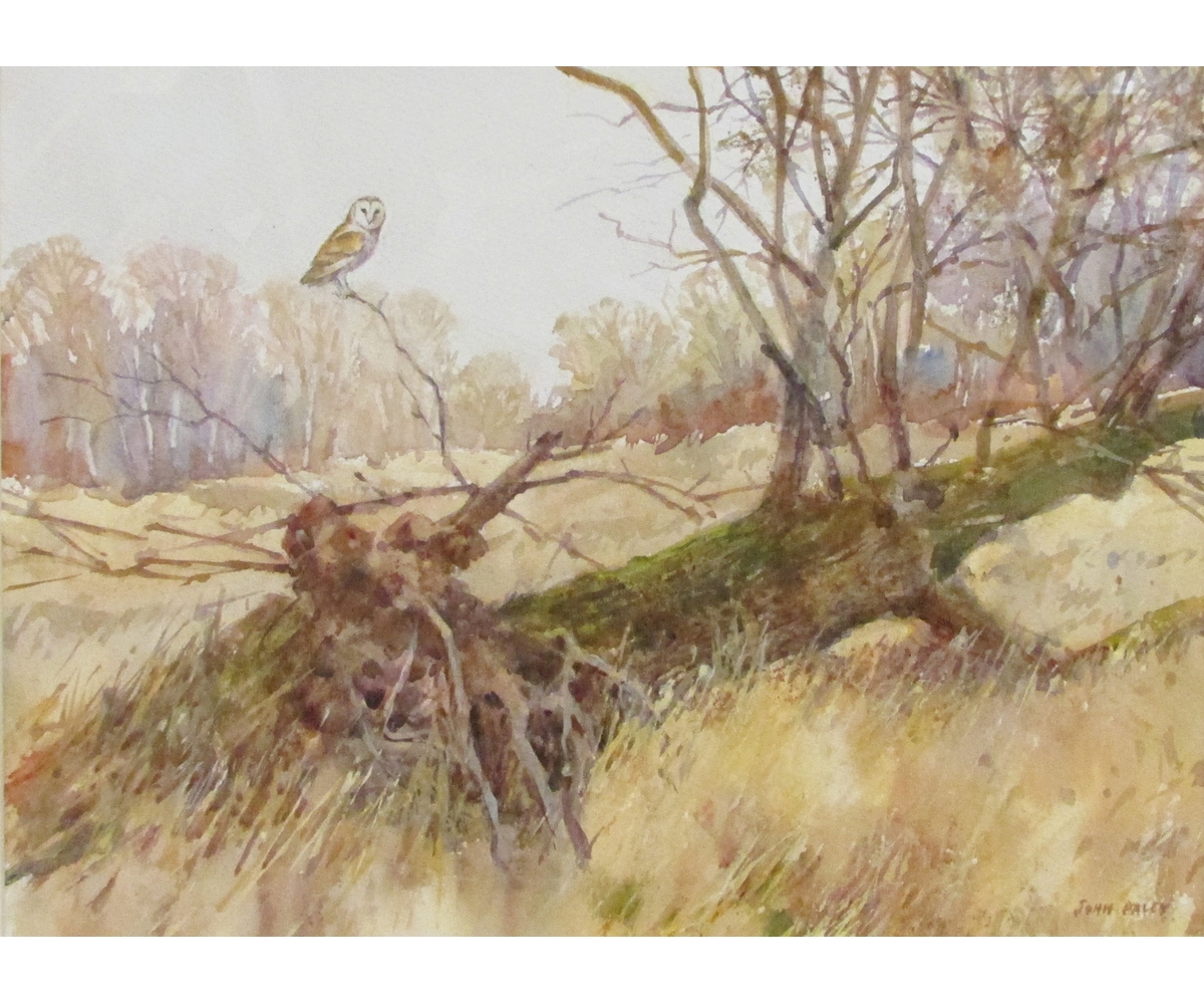 John Paley | Vantage Point | MutualArt