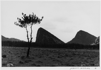 Hockney David | Kweilin 77-6 (1981) | MutualArt