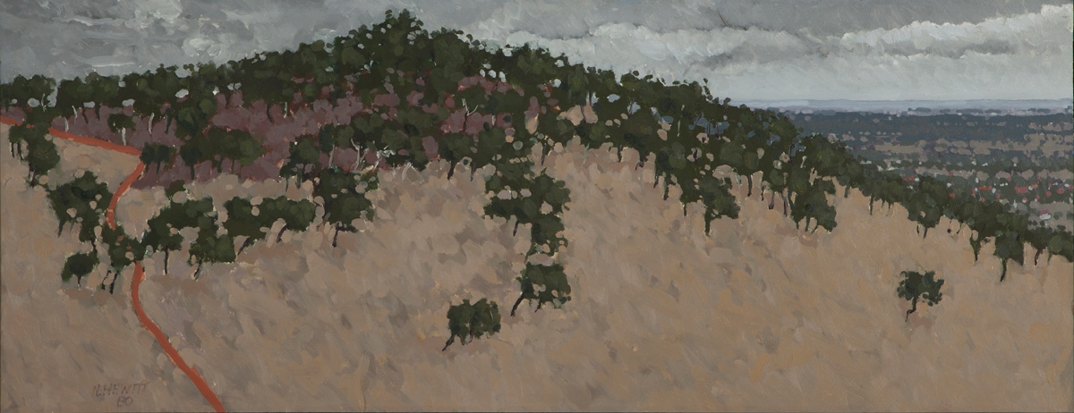 Nigel Hewitt | DARLINGTON LANDSCAPE (1980) | MutualArt