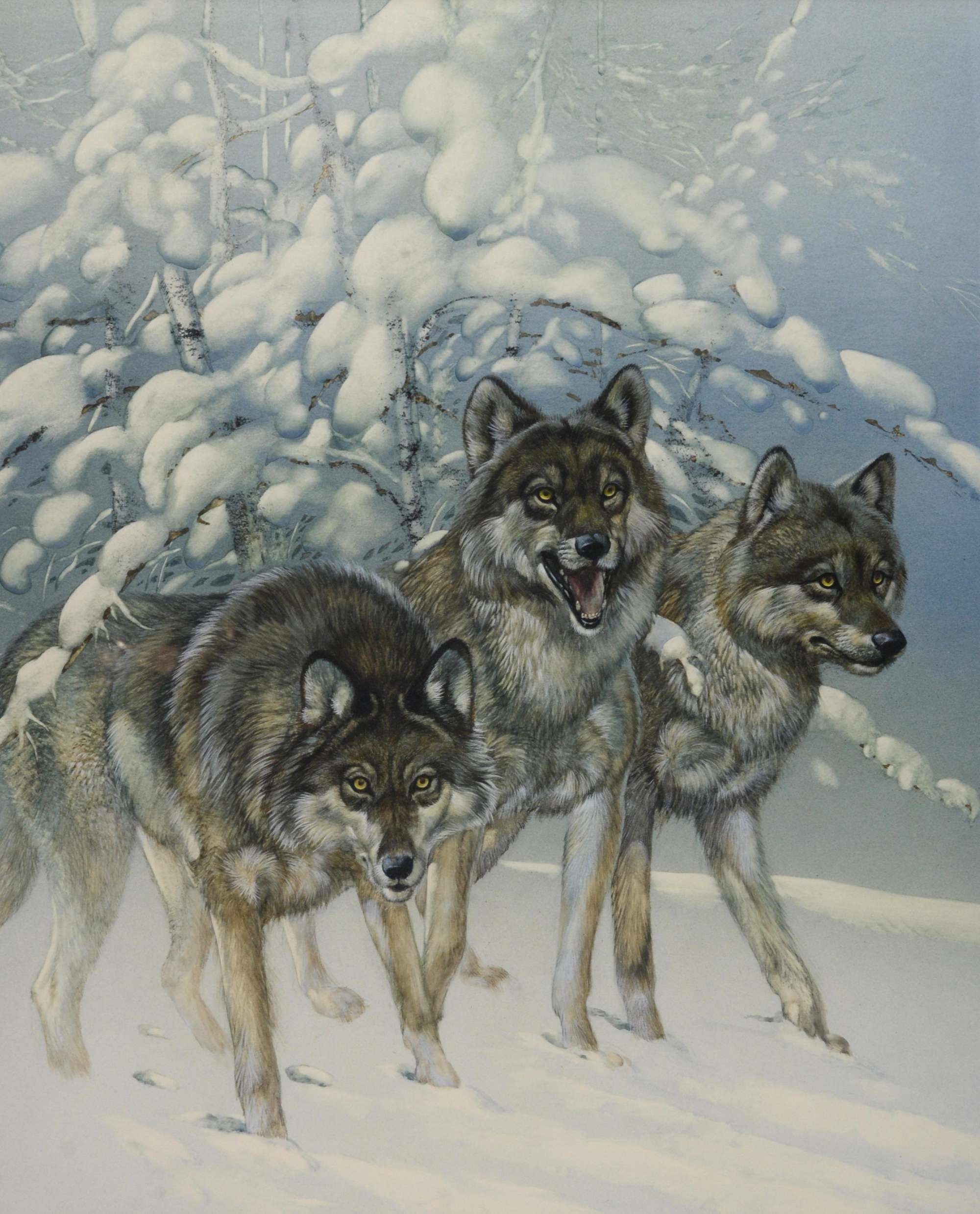 John Barber | three wolves in a snowy landscape, Parents and baby ...