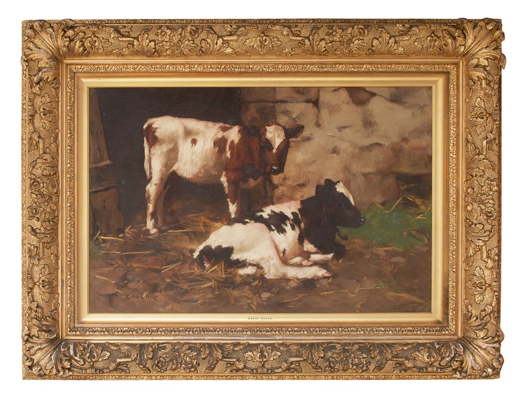 David Gauld | TWO CALVES | MutualArt