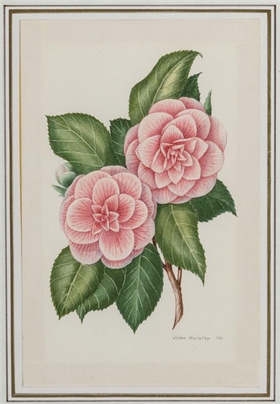 John Calcott Horsley | Study of a camellia | MutualArt