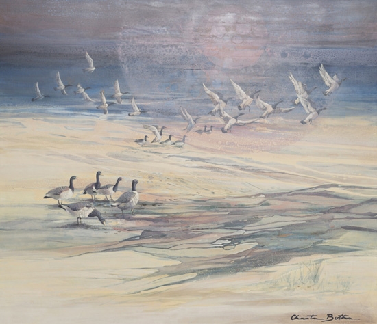 Christina Aletta Botha | Flight over the Estuary | MutualArt