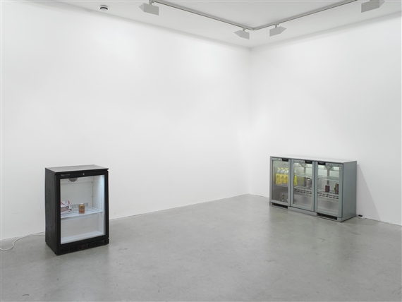 Gili Tal | Artist Overview | MutualArt