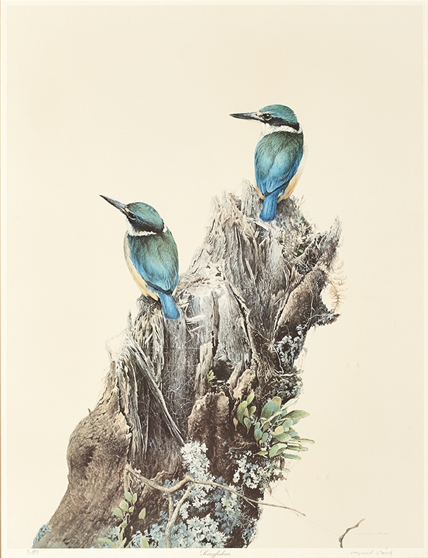 Raymond Harris Ching | Red-crowned Parakeets | MutualArt