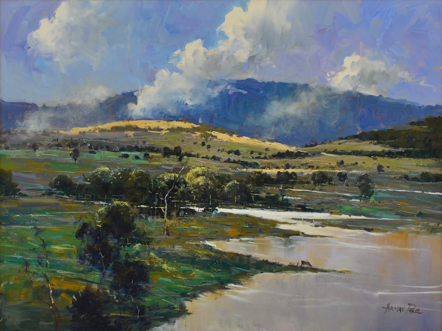 Herman Pekel | Landscape | MutualArt