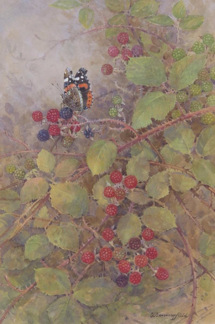 Gordon Beningfield | A Red Admiral butterfly on a bramble | MutualArt