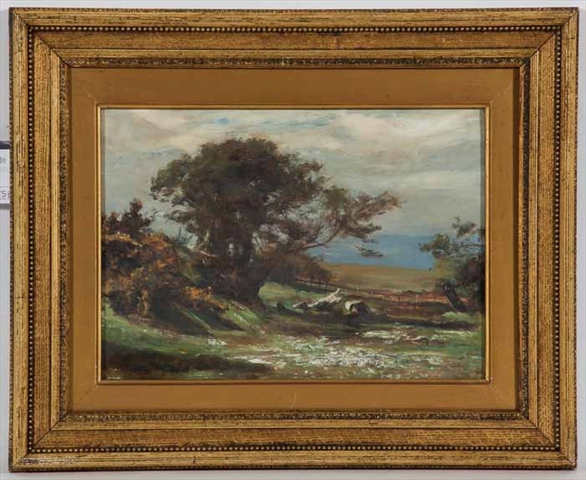 James Hamilton | VIEW DOWN TO TAY | MutualArt