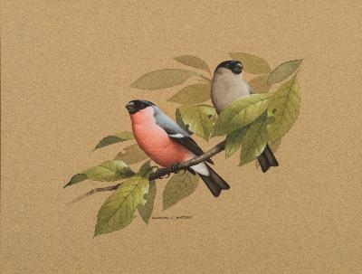 Raymond C. Watson | 58 Artworks | MutualArt