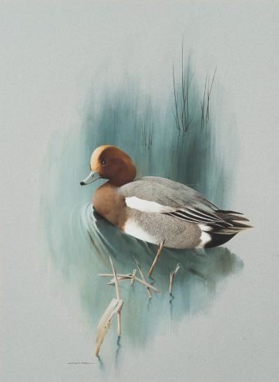 Raymond C. Watson | 58 Artworks | MutualArt