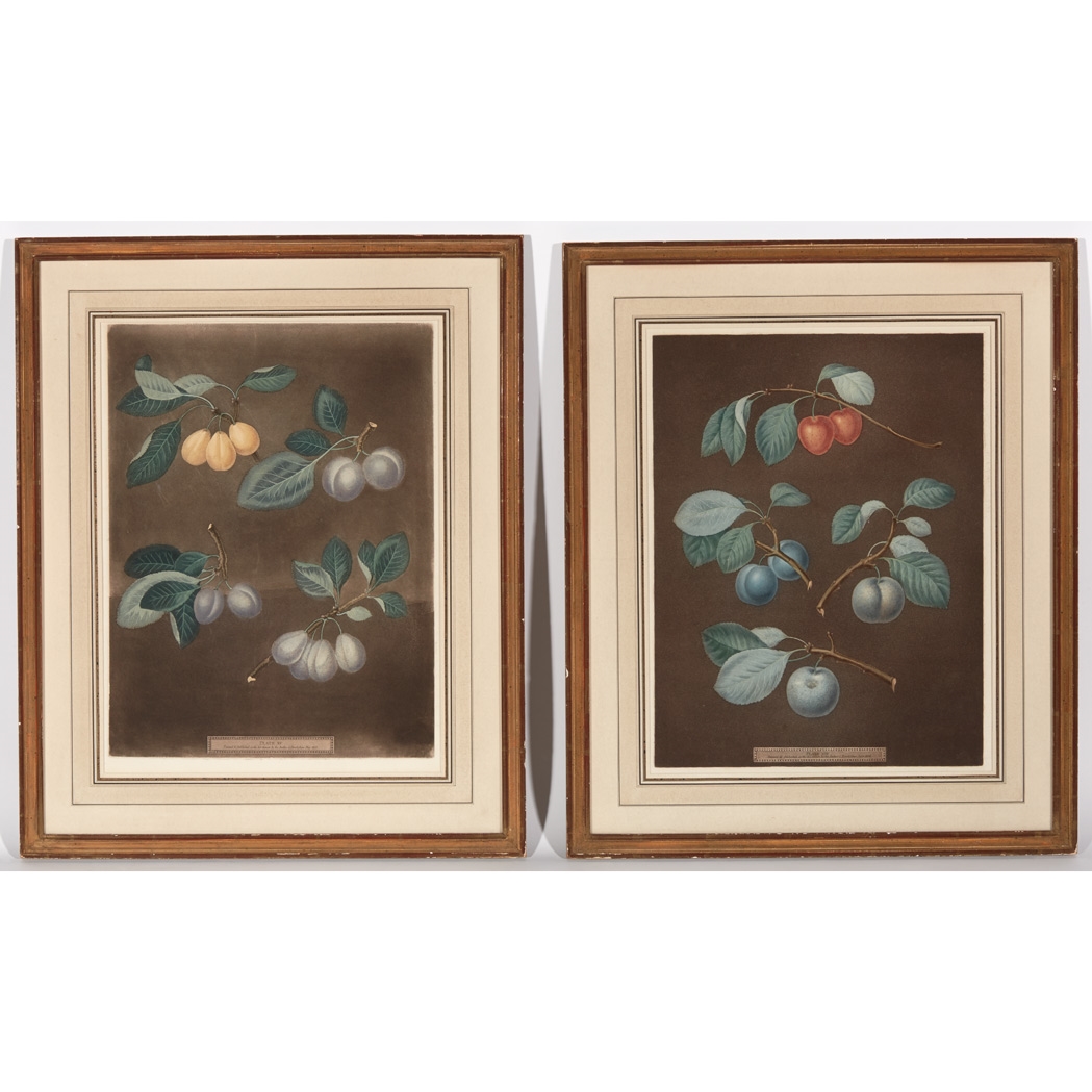 George Brookshaw | 2 Works: Plums | MutualArt