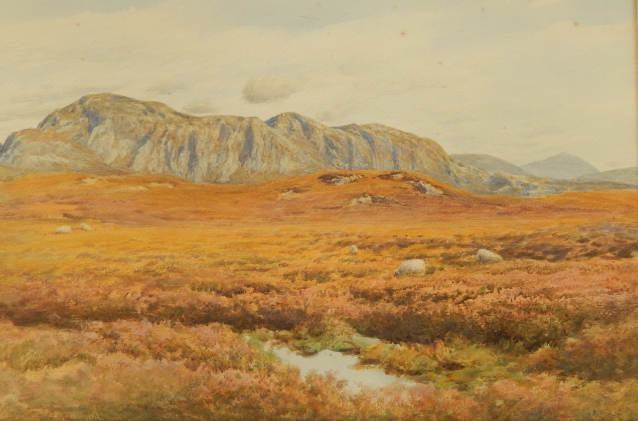 Richard Redfern | The Clints of Dromore | MutualArt