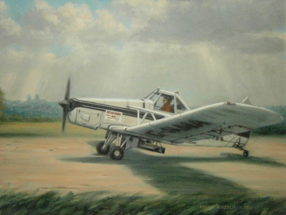 Robin Wheeldon | Plane landing by Lincoln (1981) | MutualArt