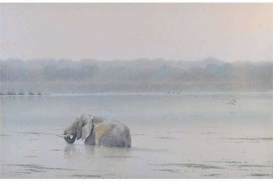 Kim Donaldson | Elephant in the Zambesi | MutualArt
