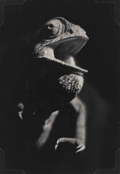 Man Ray | Kiss (Solarisation) (1932) | MutualArt