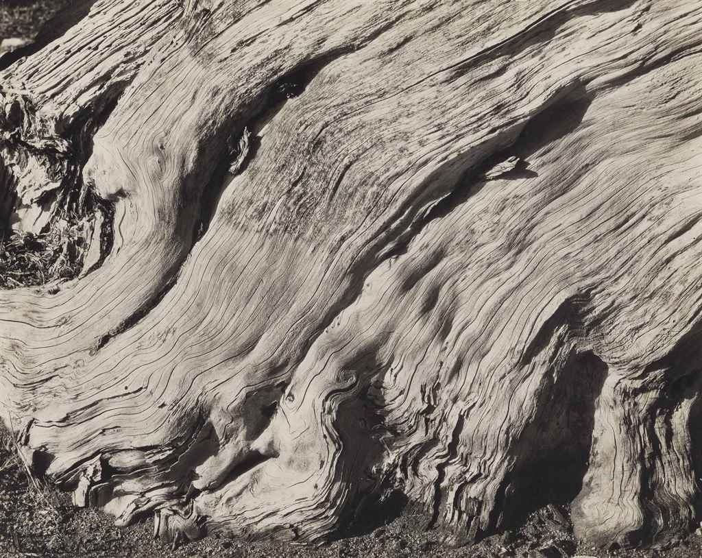 Edward Weston | Dunes, Oceano (1936) | MutualArt