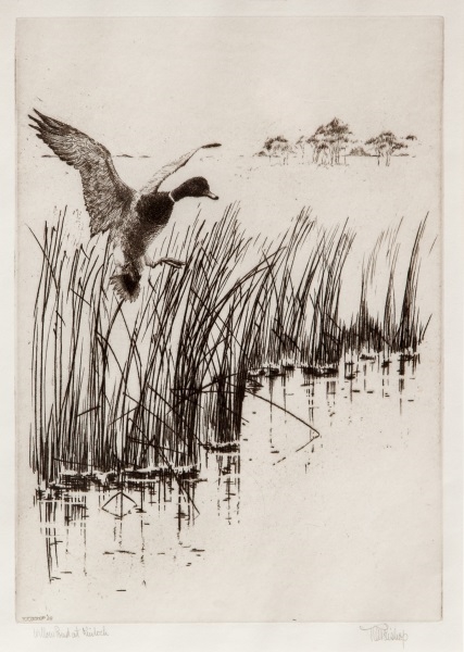 Richard Bishop | 3 works, Willow Pond at Kinloch ; Geese Overhead;From ...