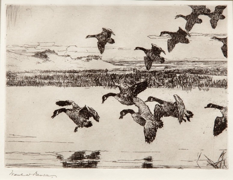Frank Weston Benson | Tired Geese (1933) | MutualArt