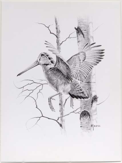 David Maass | Woodcock | MutualArt