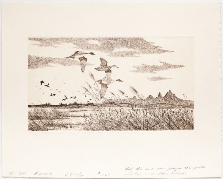David Hagerbaumer | 7 works, Pair of Woodcock ; California Quail ...