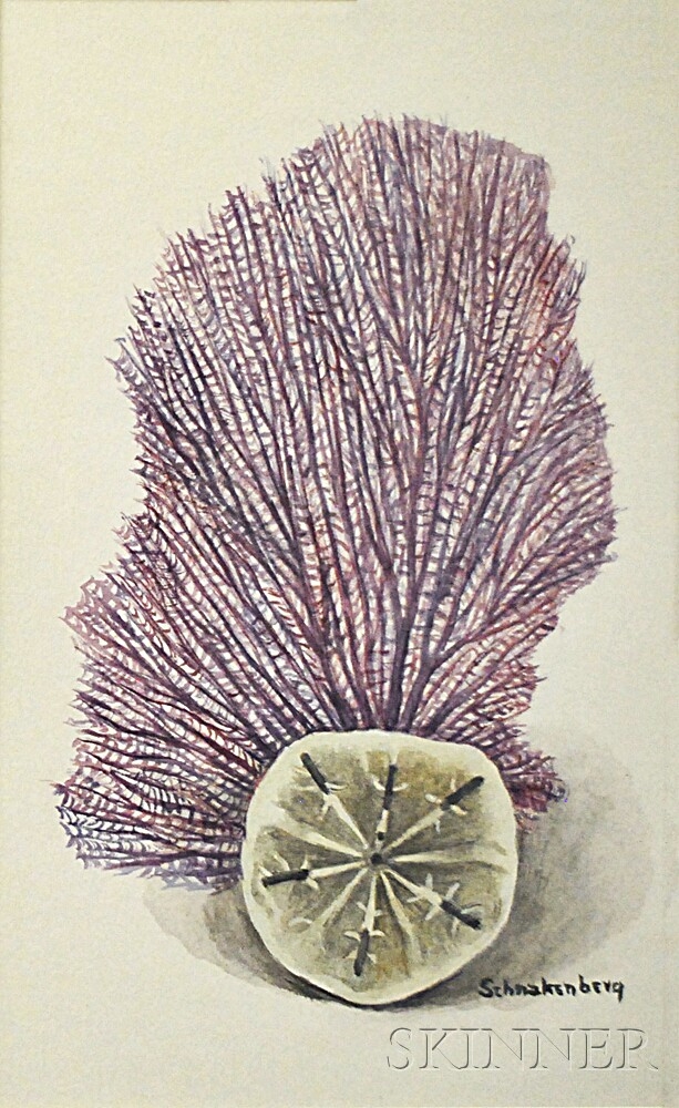 Henry Ernest Schnackenberg | Sea Fan and Sand Dollar (1965) | MutualArt