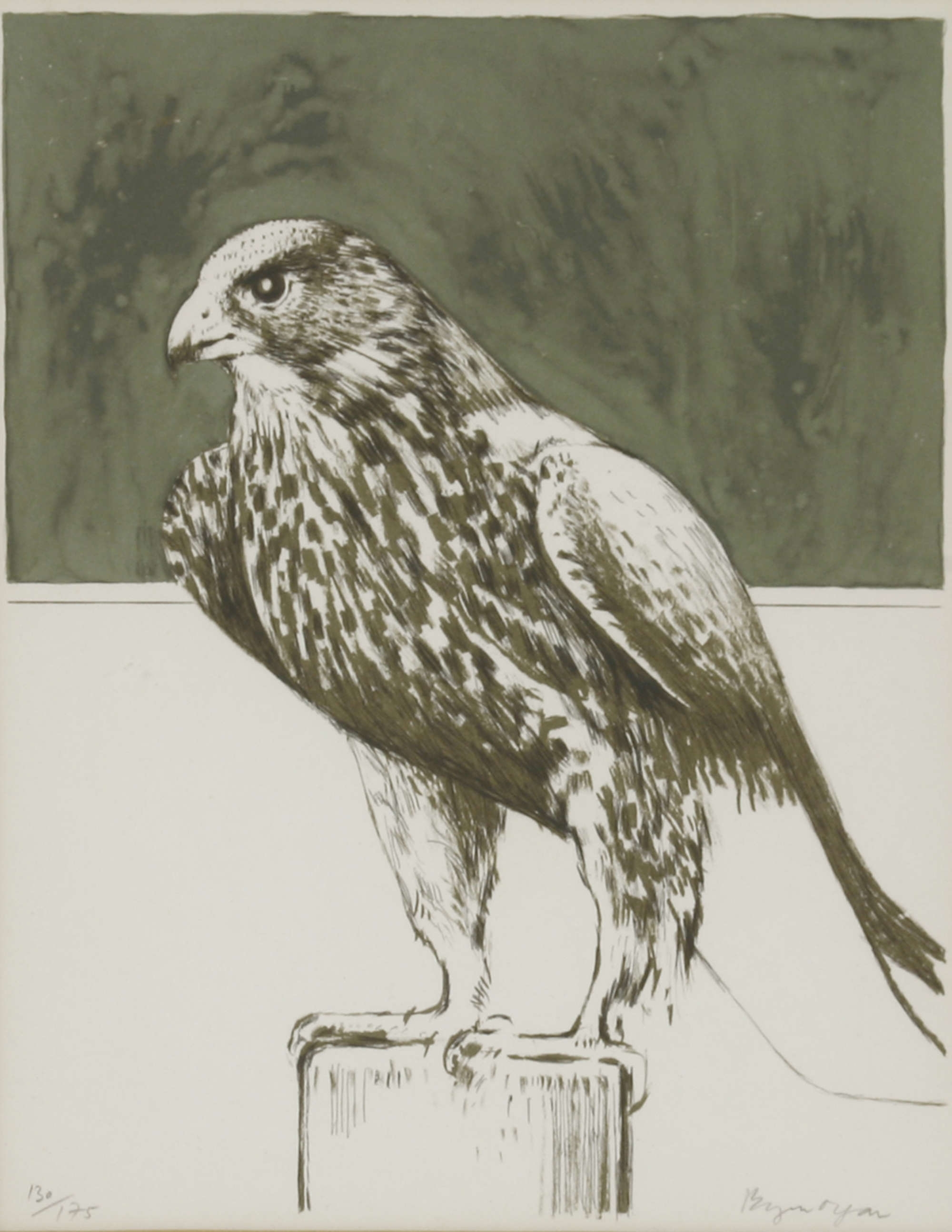 Bryan Organ | HAWK | MutualArt