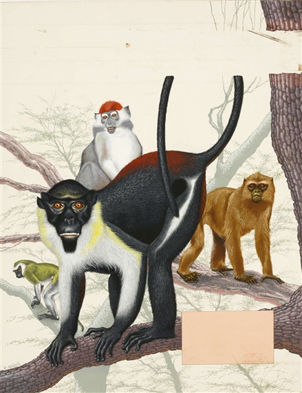 David Nockels | MONKEYS - a book illustration | MutualArt