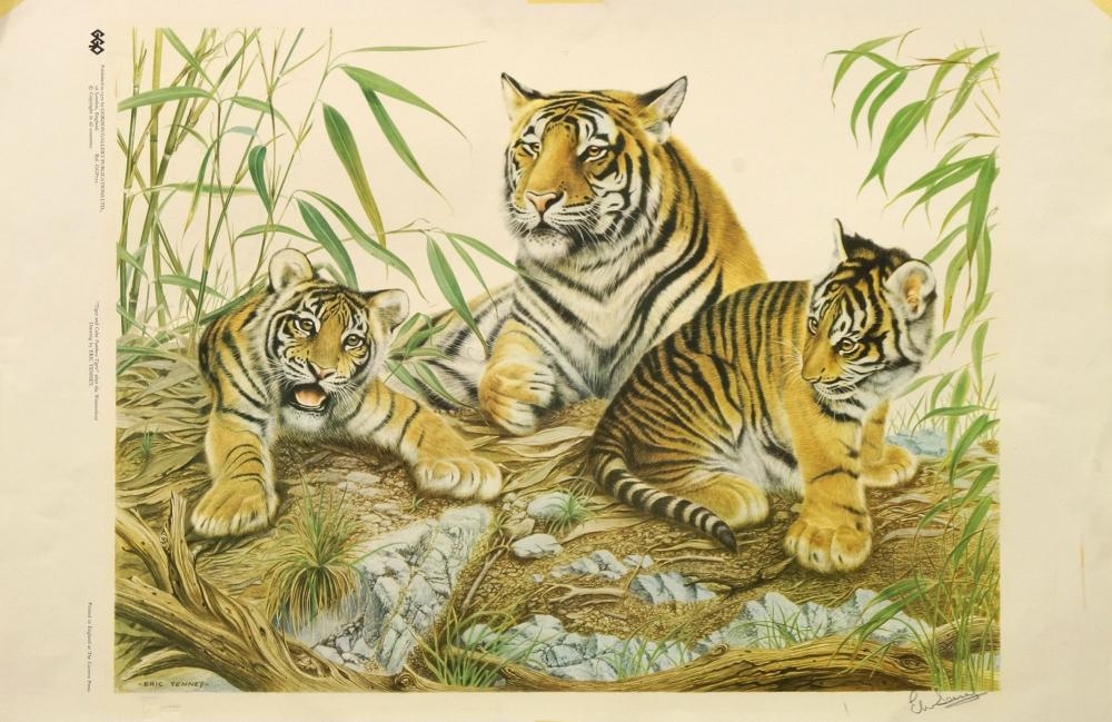 Eric Tenney | Tiger and Cubs Panthera Tigris | MutualArt