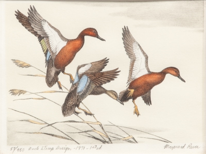Maynard Reece | 2 works, Autumn Wings - Mallards; Cinnamon Teal (1978 ...