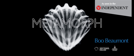 Boo Beaumont | Artist Overview | MutualArt