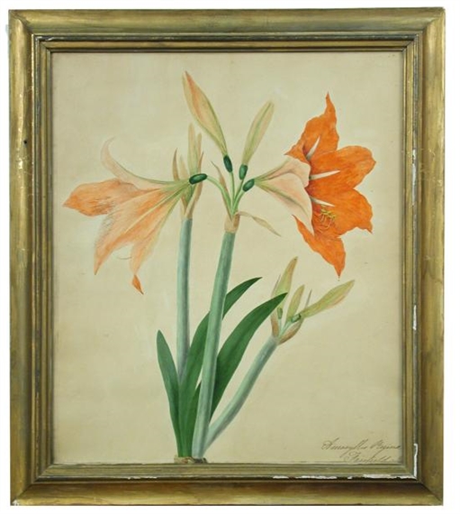 Priscilla Susan Bury | Amaryllis Reginae (1831) | MutualArt