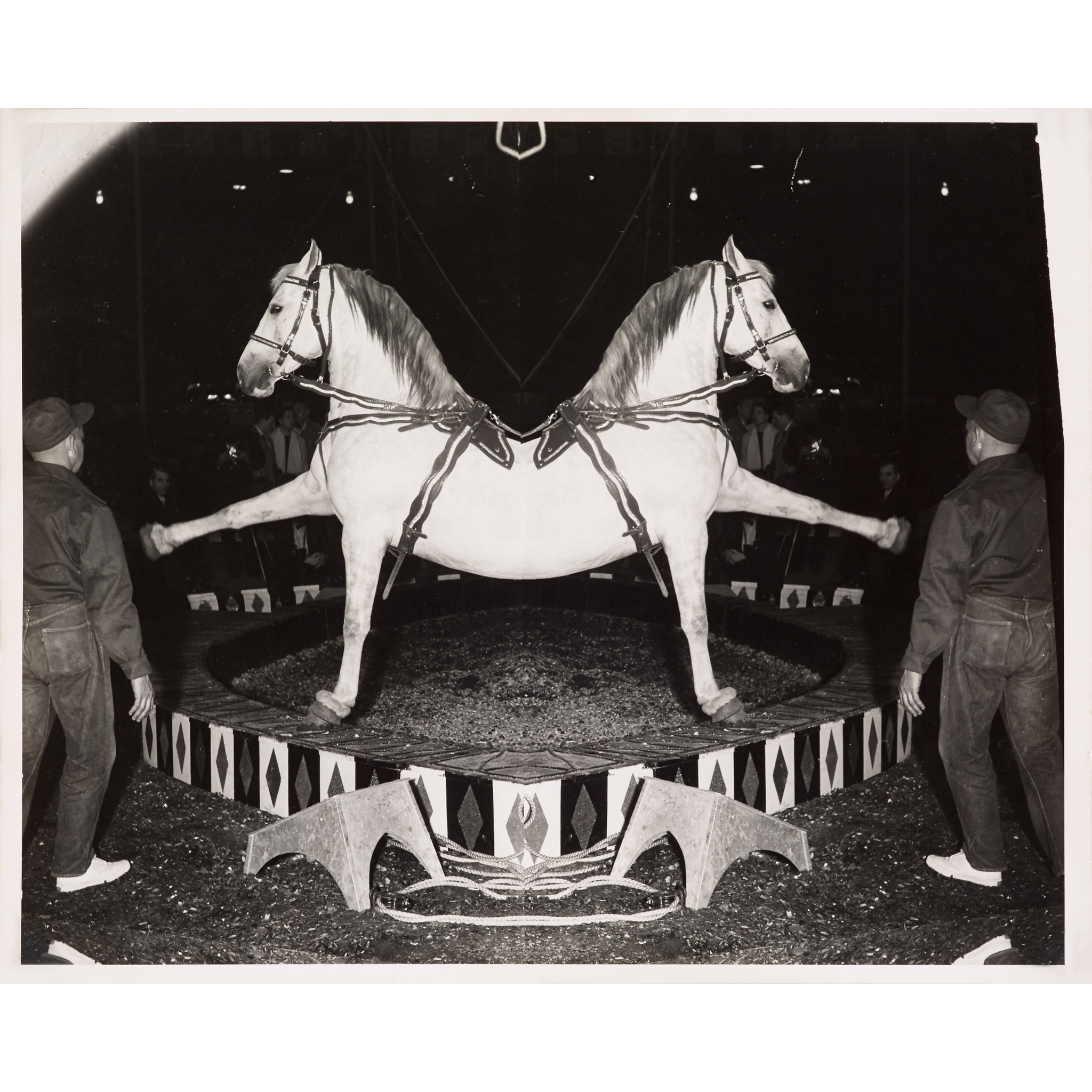 Weegee | SELECT CIRCUS DISTORTIONS (1950s) | MutualArt