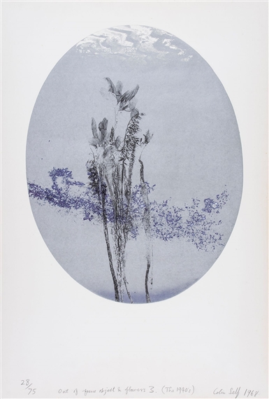 Colin Self | Out Of Focus Object and Flowers No 3 (The 1940s) (1968 ...