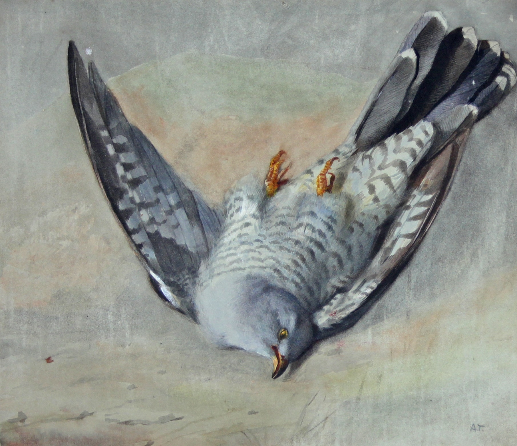 Archibald Thorburn | A Dead Cuckoo | MutualArt