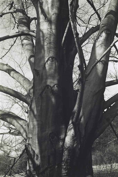 Artworks of Charles Sheeler (American, 1883 - 1965)