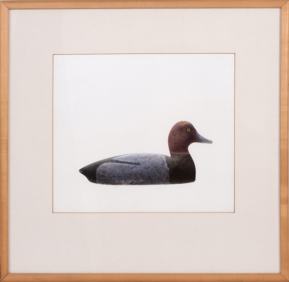 Joseph Cibula | Redhead drake | MutualArt