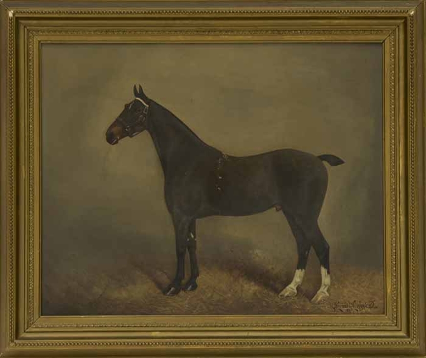 Herbert H. St. John Jones | Study of a Horse in a Landscape (1907 ...