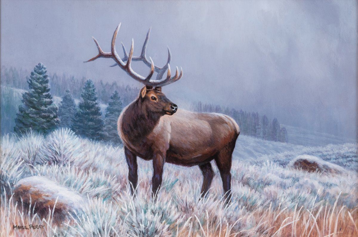 Mark Perry | Winter Sage (2016) | MutualArt