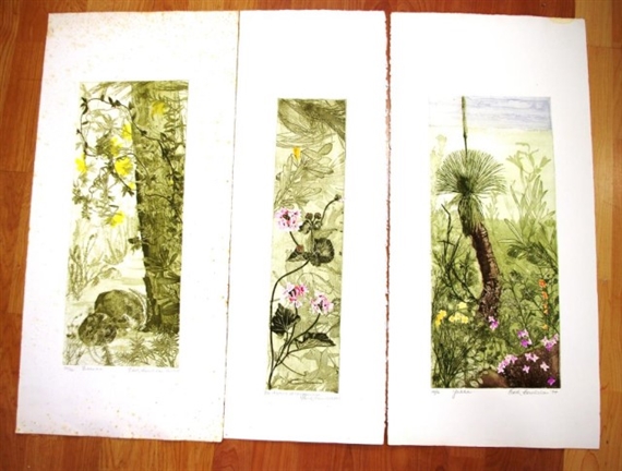 Edith Cowlishaw | 3 Works: Yakka, Native Pelargonium, Hibbertia | MutualArt