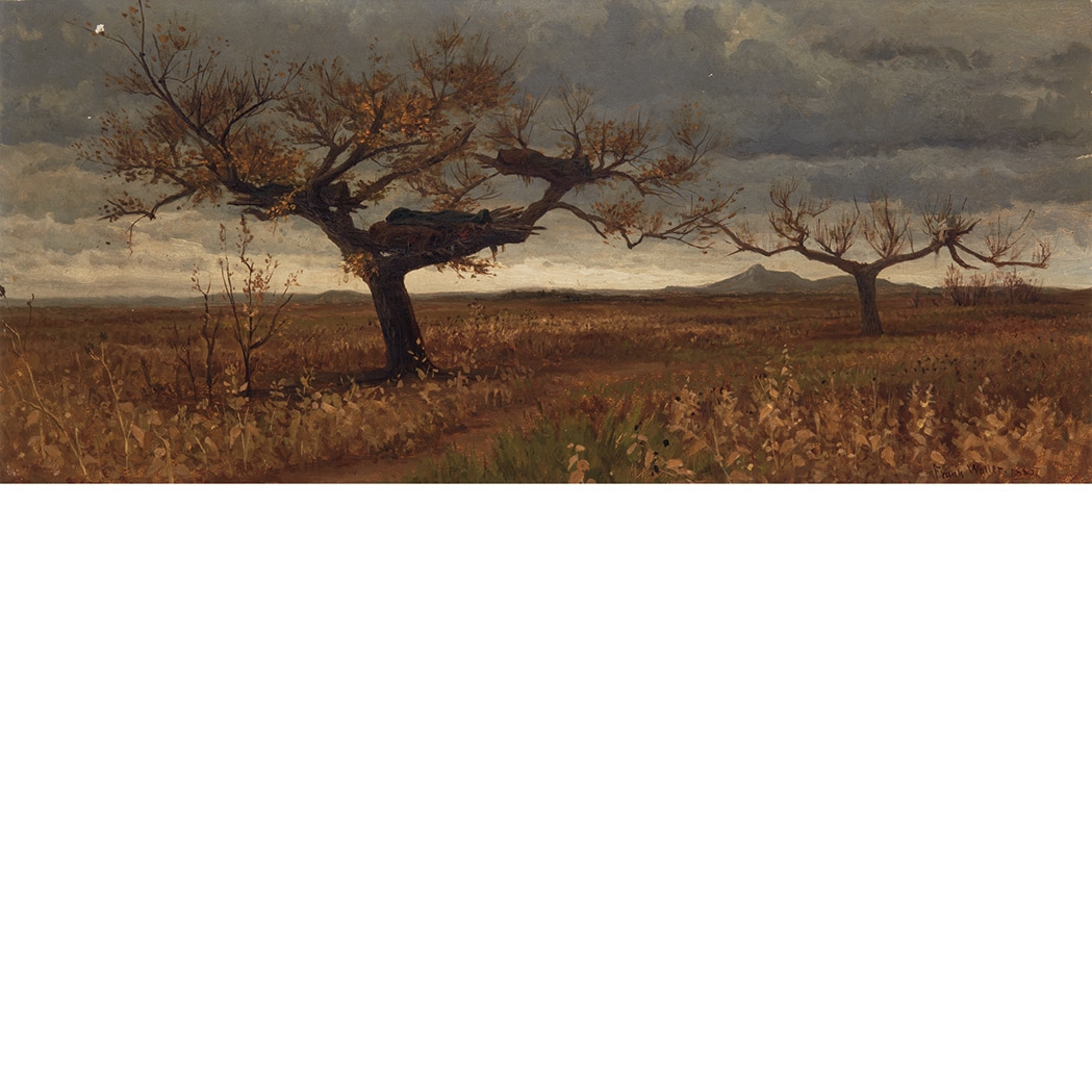 Frank Waller | Indian Burial Grounds, Dakota, The Indian Burial Trees ...