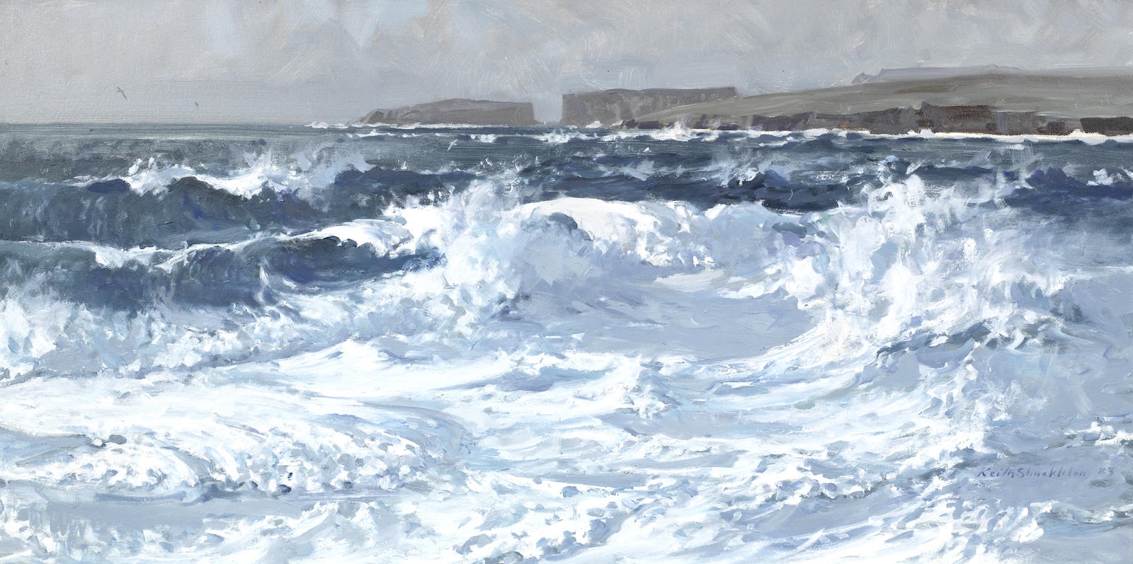 Keith Shackleton | Storm petrels in flight (1988) | MutualArt