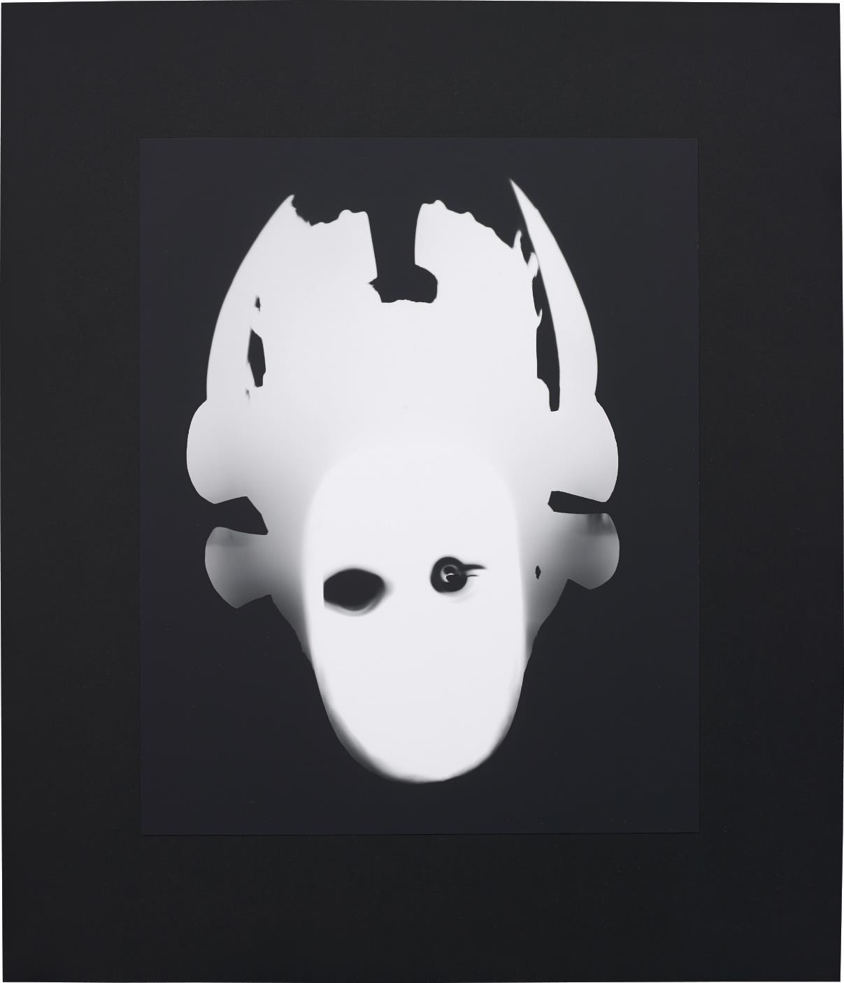 Adam Fuss | ARK (2005) | MutualArt